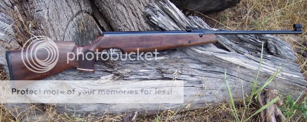 Custom Schaft - Druckluft & LEPs - CO2air.de